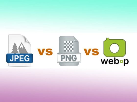 Perbedaan Format File Gambar Antara JPG, PNG, dan WebP